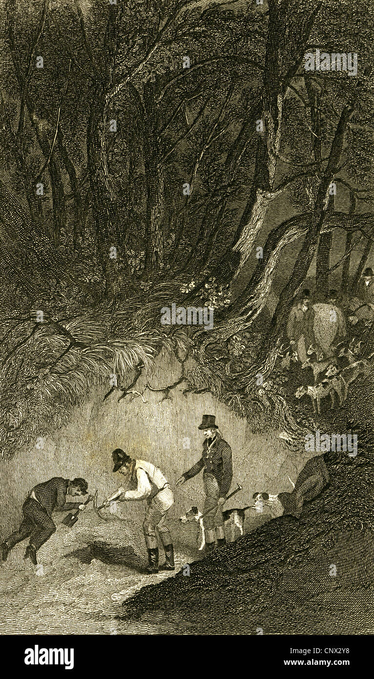 Circa 1870 engraving, Unearthing the Fox Stock Photo - Alamy