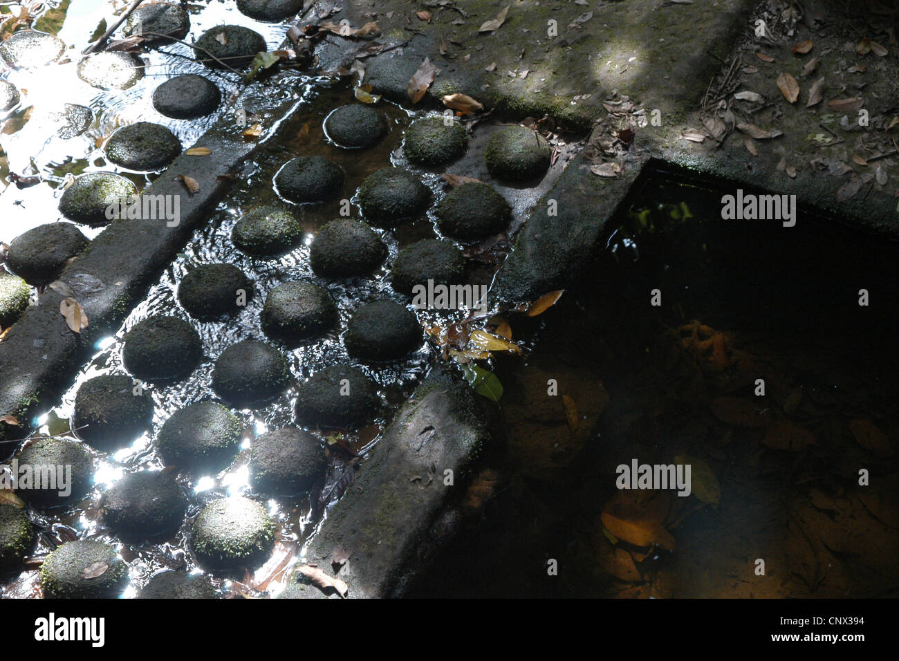Lingam linga hi-res stock photography and images - Alamy