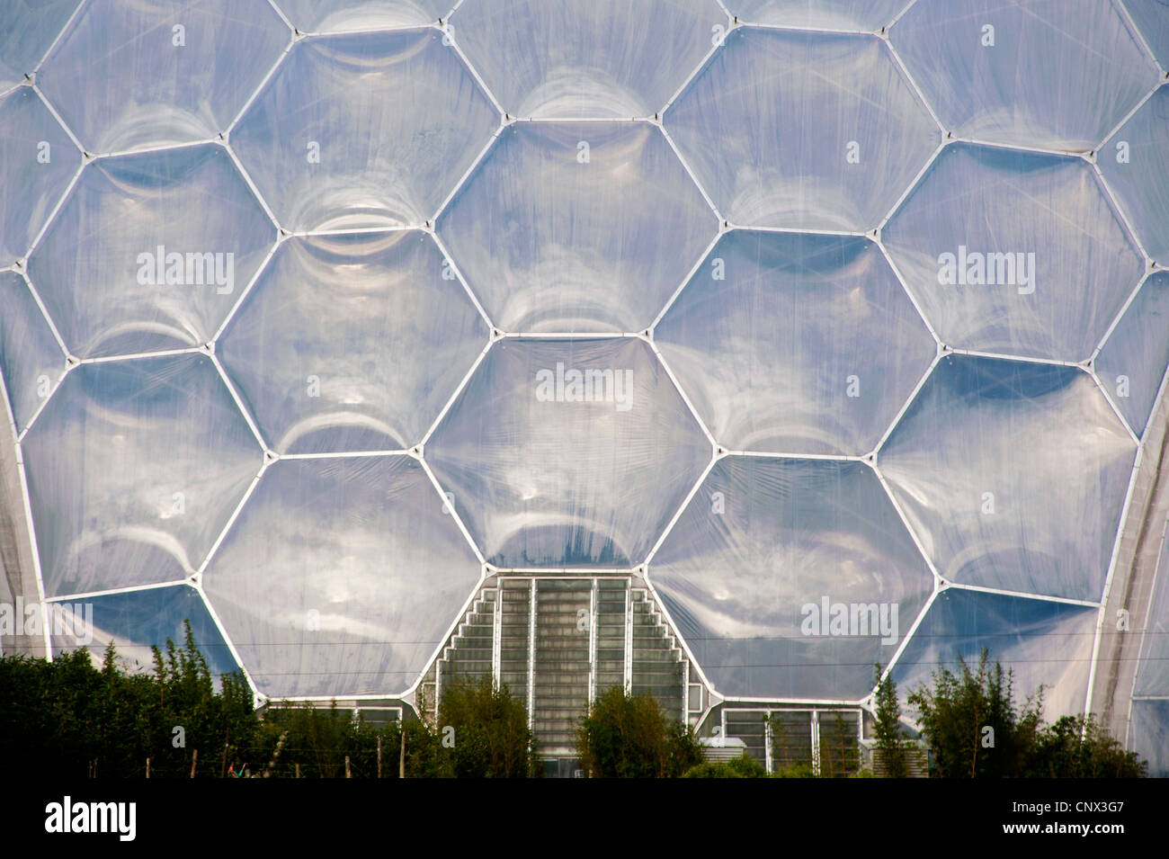 Detailed image of the structure of one of the biomes at the Eden ...