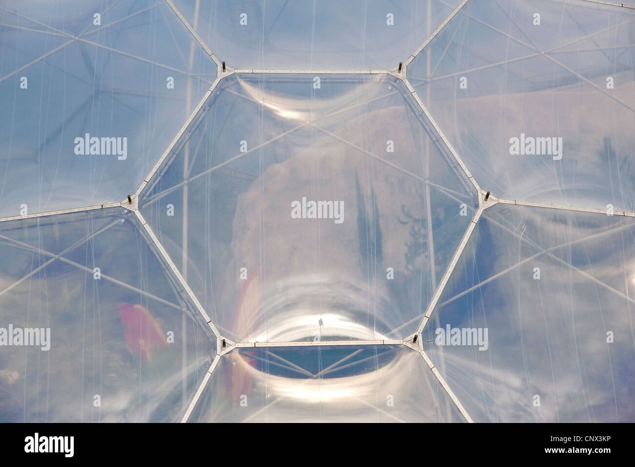 Close-up detail of one of the biomes at the Eden Project, Cornwall UK ...