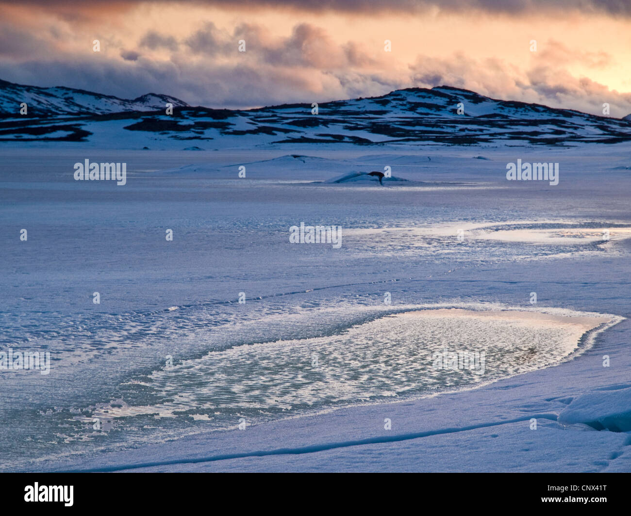Cold winter evening on the Hardanger plateau in the Norwegian mountains ...