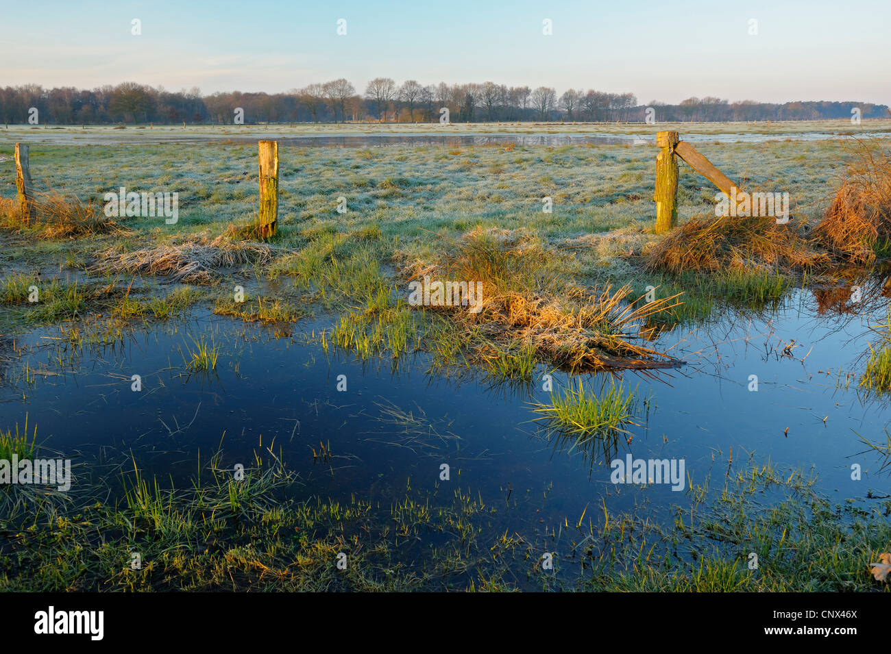 Marsh fences hi-res stock photography and images - Alamy