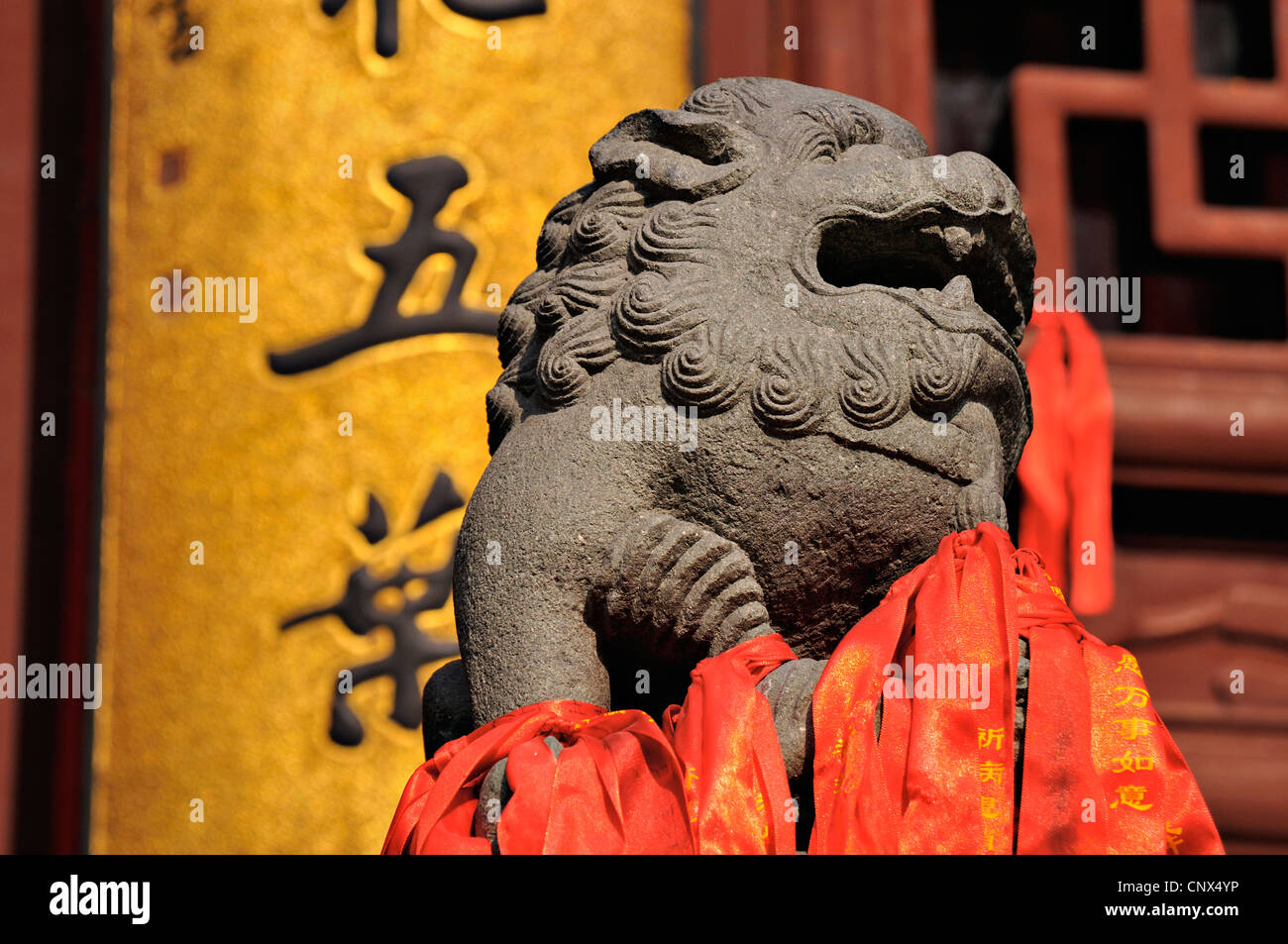 Temple guardian lion-dog with the sacred colours of red and gold at ...