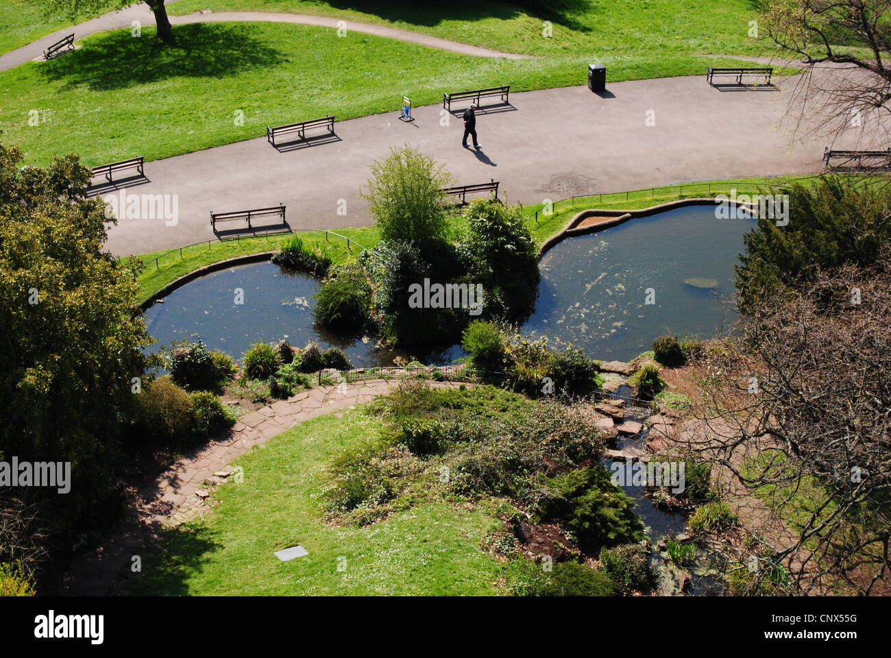 ponds in the park Stock Photo - Alamy