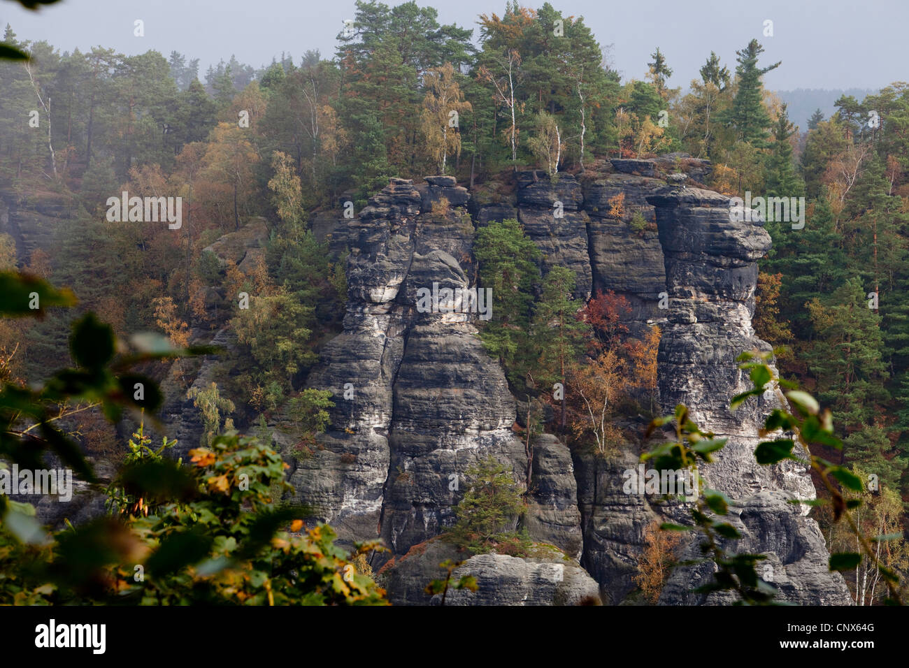 Bastei rocks hi-res stock photography and images - Alamy