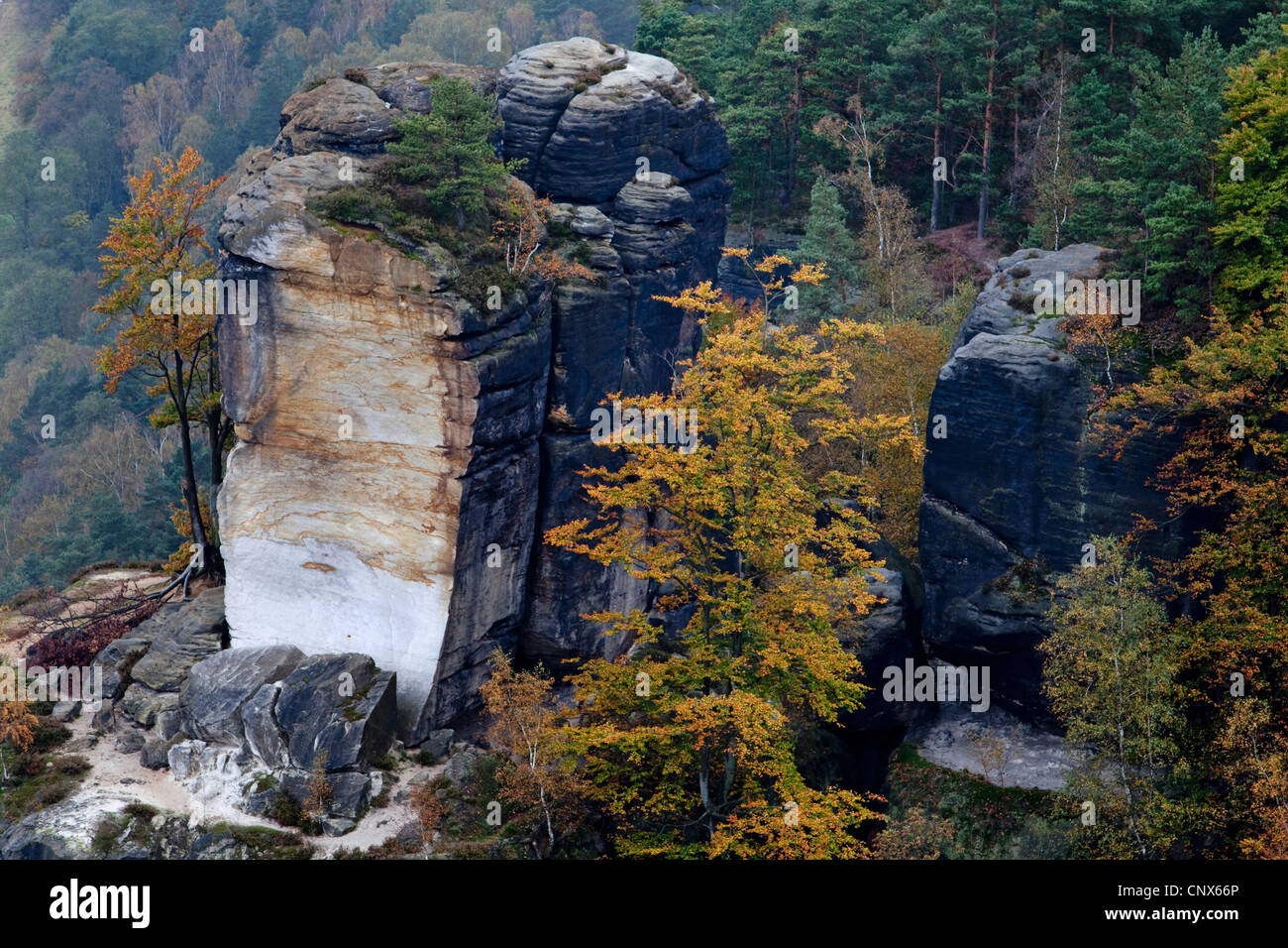 Bastei rocks hi-res stock photography and images - Alamy