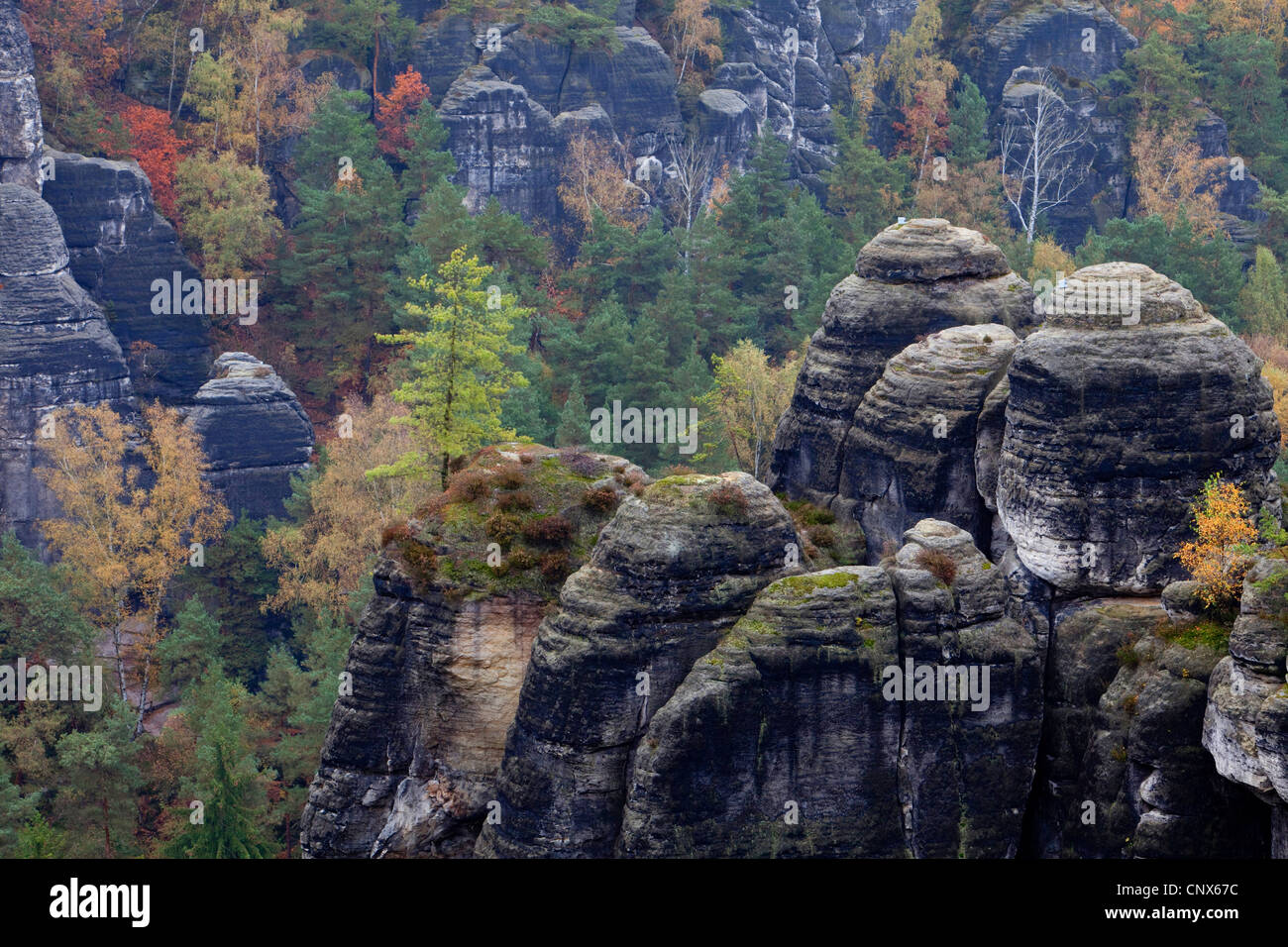 Bastei rocks hi-res stock photography and images - Alamy