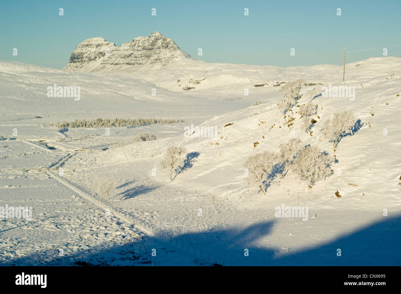 Trees woods moorland view hi-res stock photography and images - Alamy