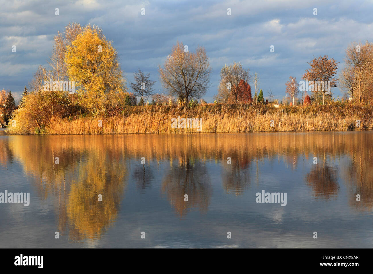 Fall coloring fall foliage season hi-res stock photography and images ...