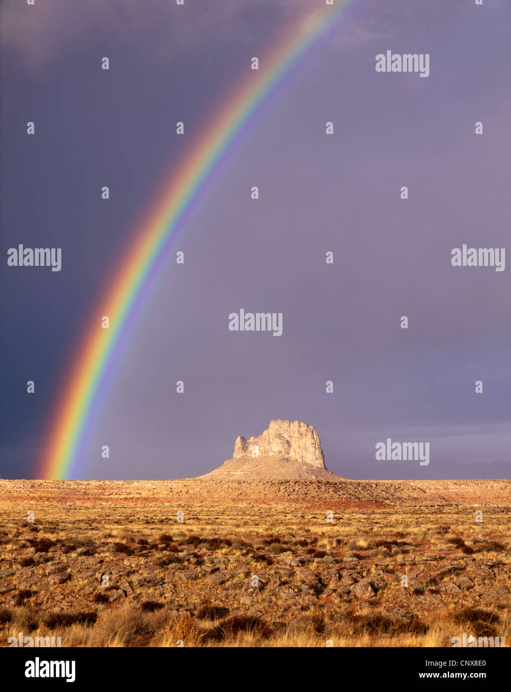 A rainbow fills the sky over the Navajo reservation in northern Arizona ...
