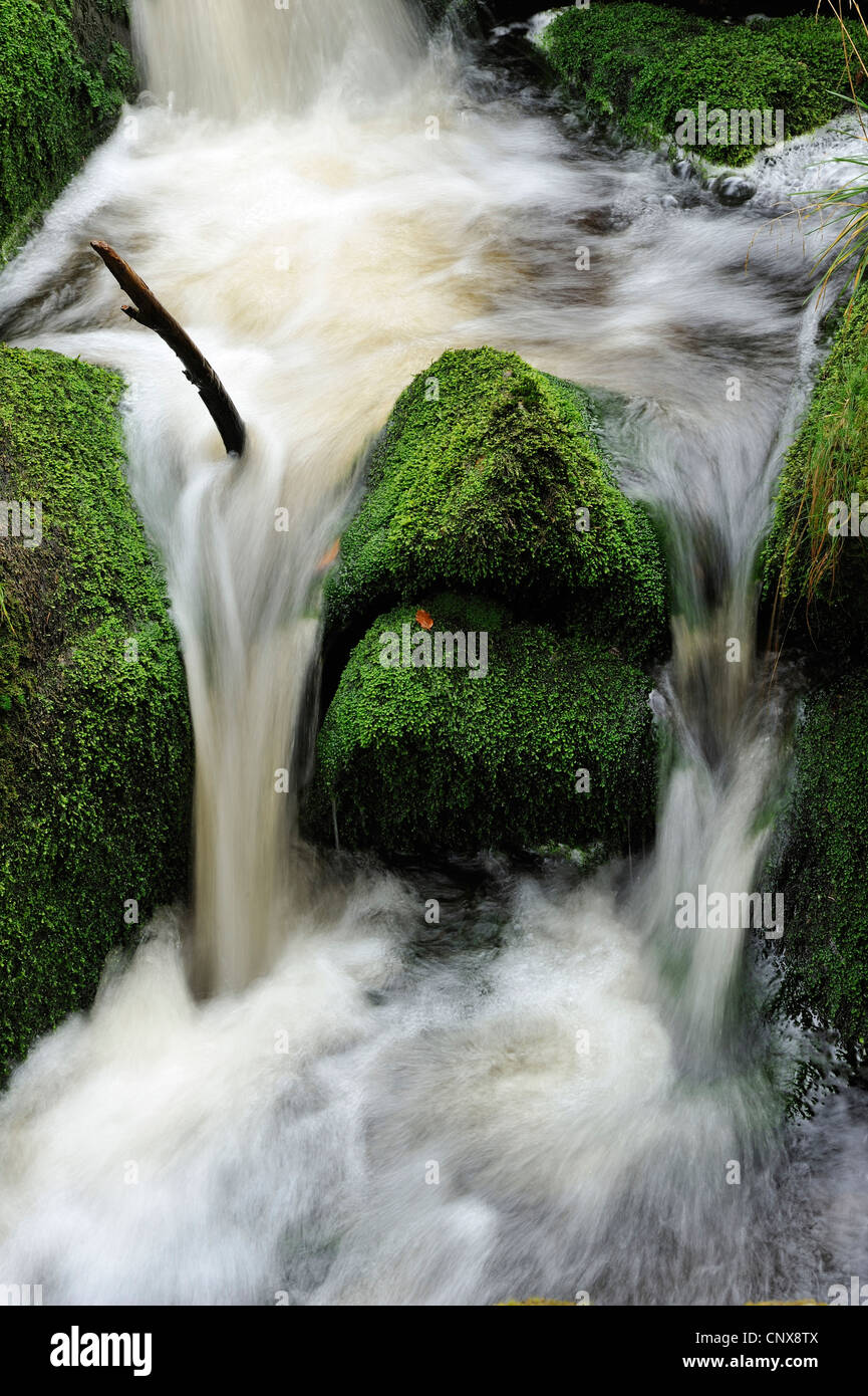 Mountain falkenstein hi-res stock photography and images - Alamy
