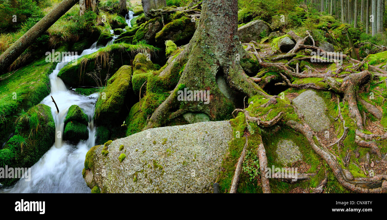 Falkenstein bavaria hi-res stock photography and images - Alamy