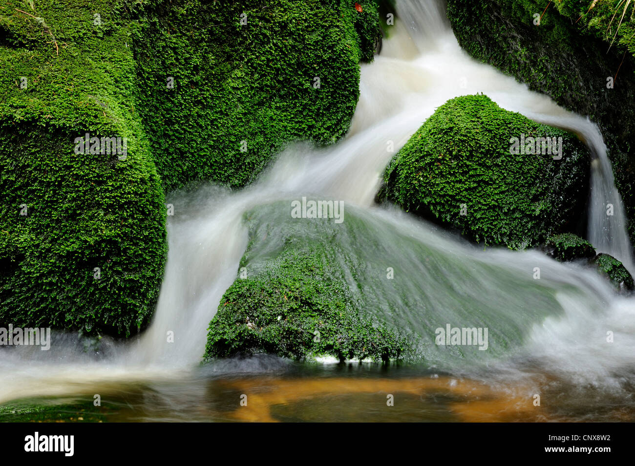 Mountain falkenstein hi-res stock photography and images - Alamy
