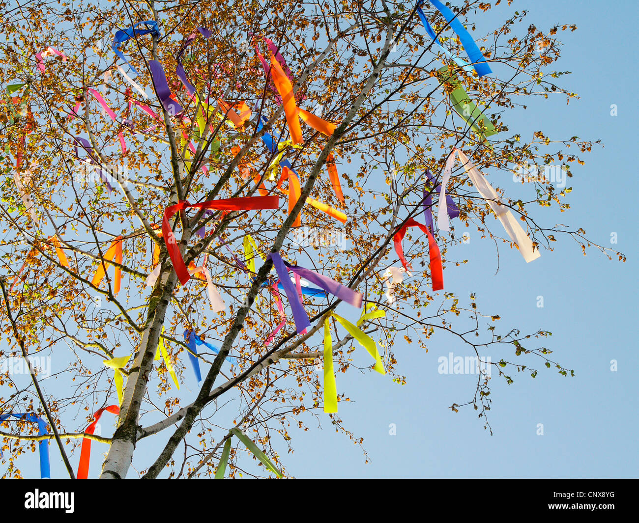 Maypole hi-res stock photography and images - Alamy