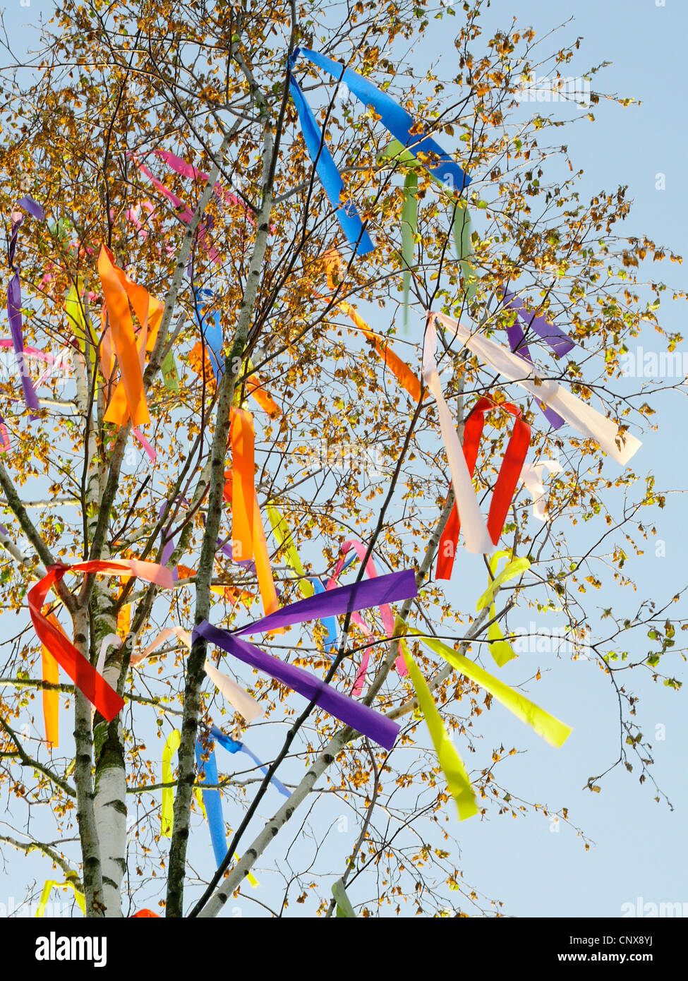 Maypole germany hi-res stock photography and images - Alamy