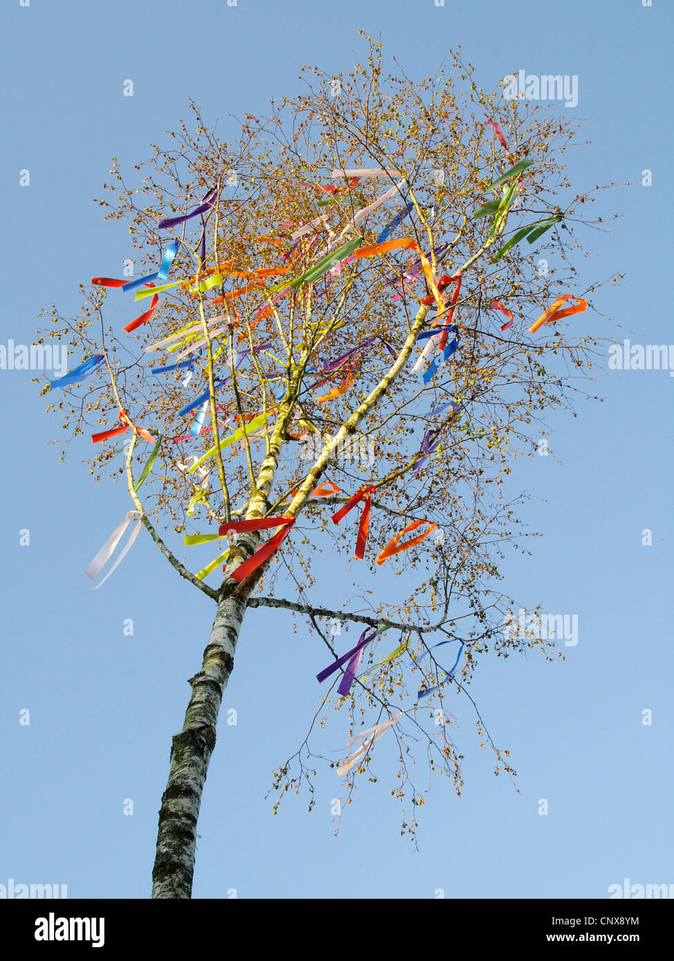 Maypole germany hi-res stock photography and images - Alamy