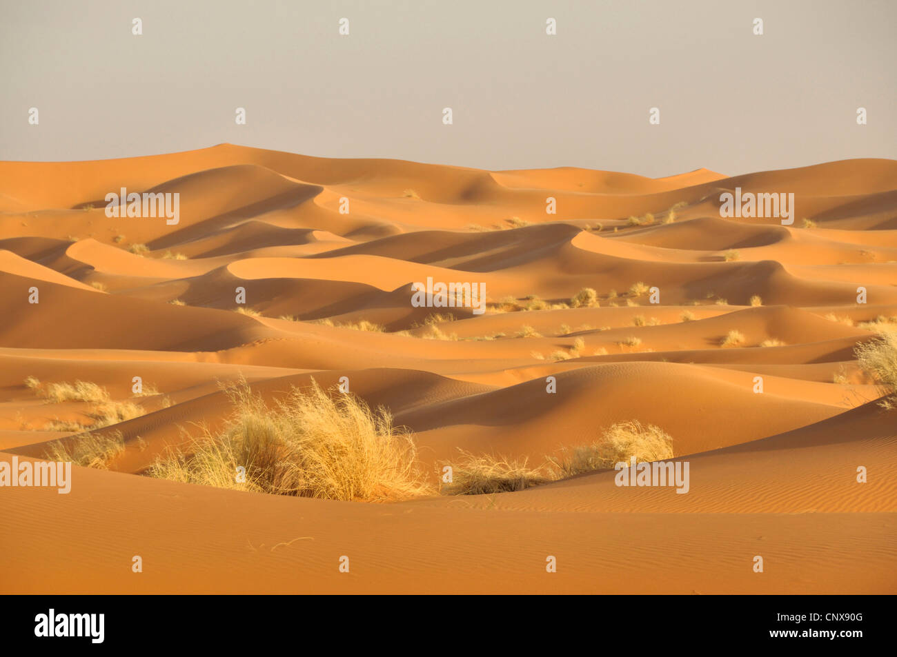 View sand dunes at erg hi-res stock photography and images - Alamy