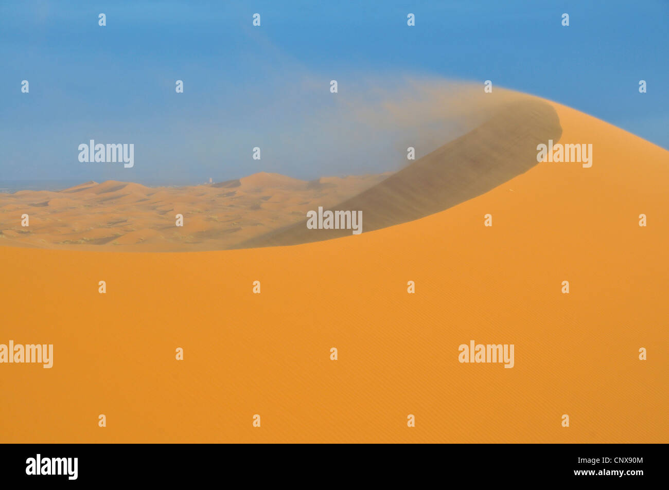 Sandstorm sahara hi-res stock photography and images - Alamy
