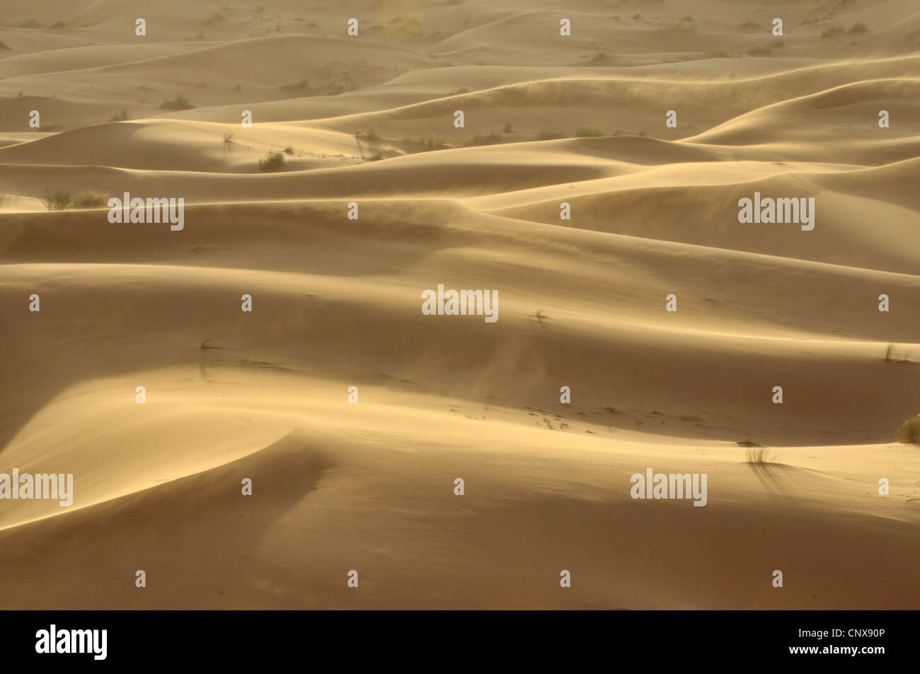 Sandstorm desert hi-res stock photography and images - Alamy