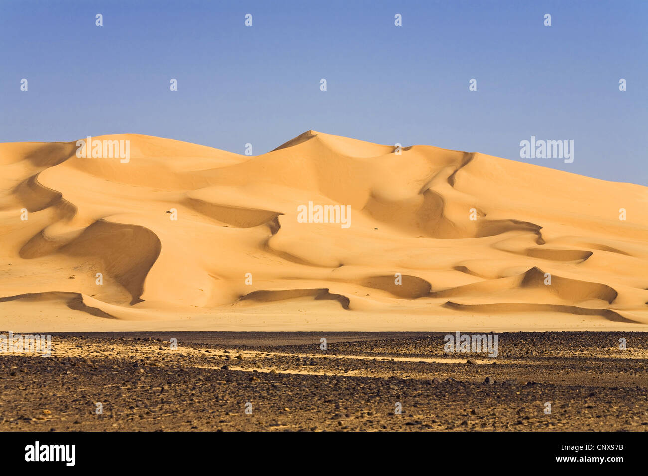 Waste lands hi-res stock photography and images - Alamy