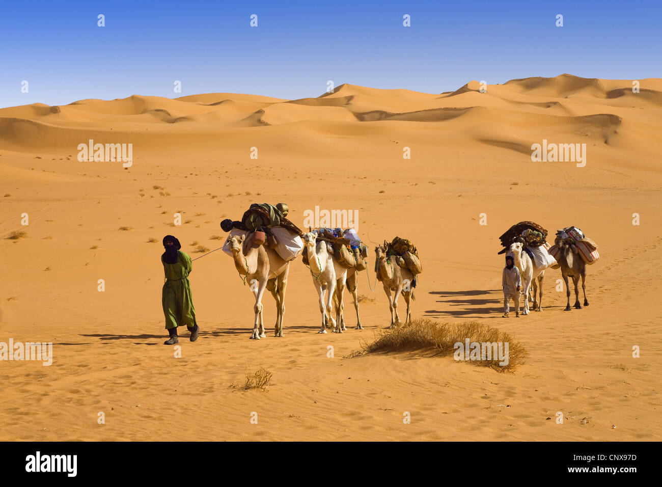 Tuaregs camel hi-res stock photography and images - Alamy