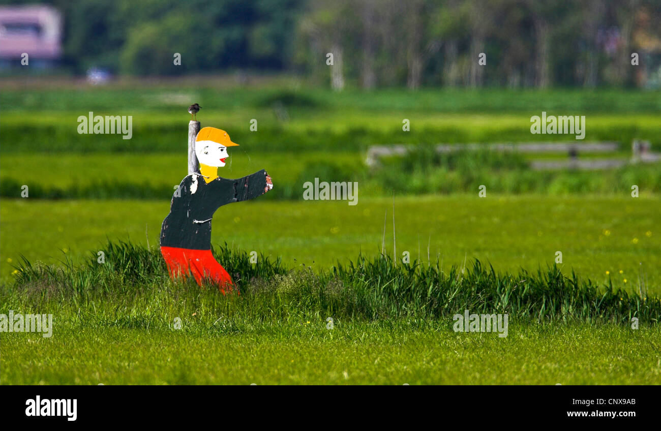 Human scarecrow hi-res stock photography and images - Alamy
