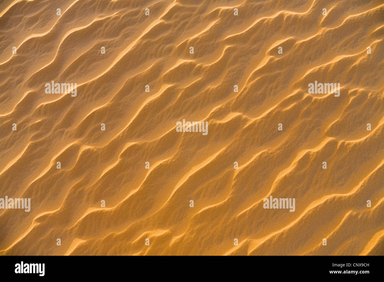 Sand ripples in the libyan desert hi-res stock photography and images ...