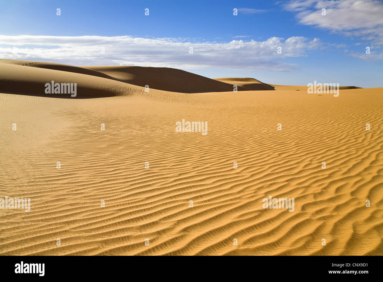 sanddunes in the Libyan desert, Libya, Sahara Stock Photo - Alamy
