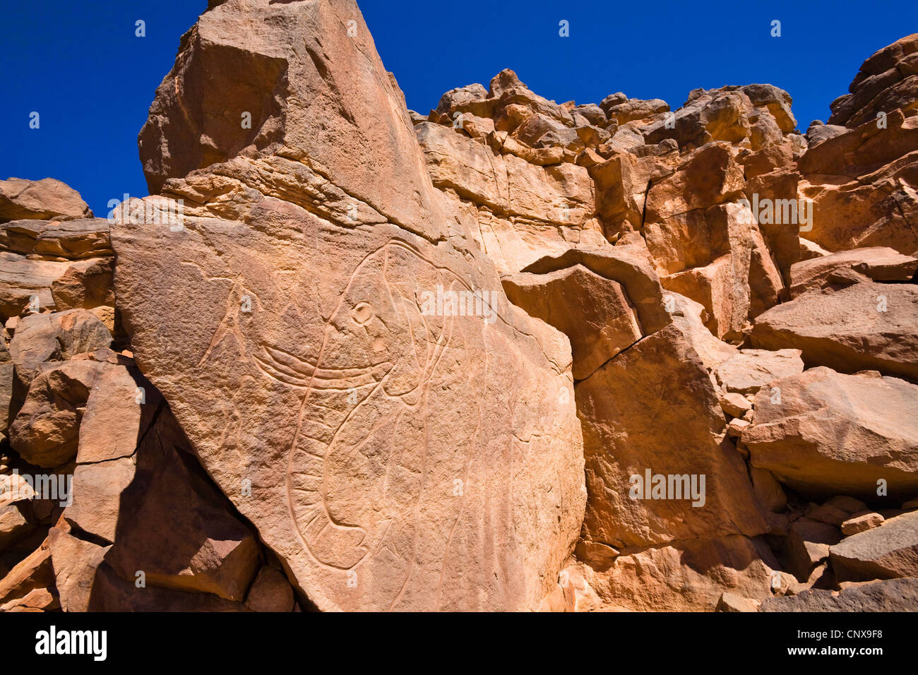 rock engraving of an elephant in the stone desert of Wadi Mathendous ...