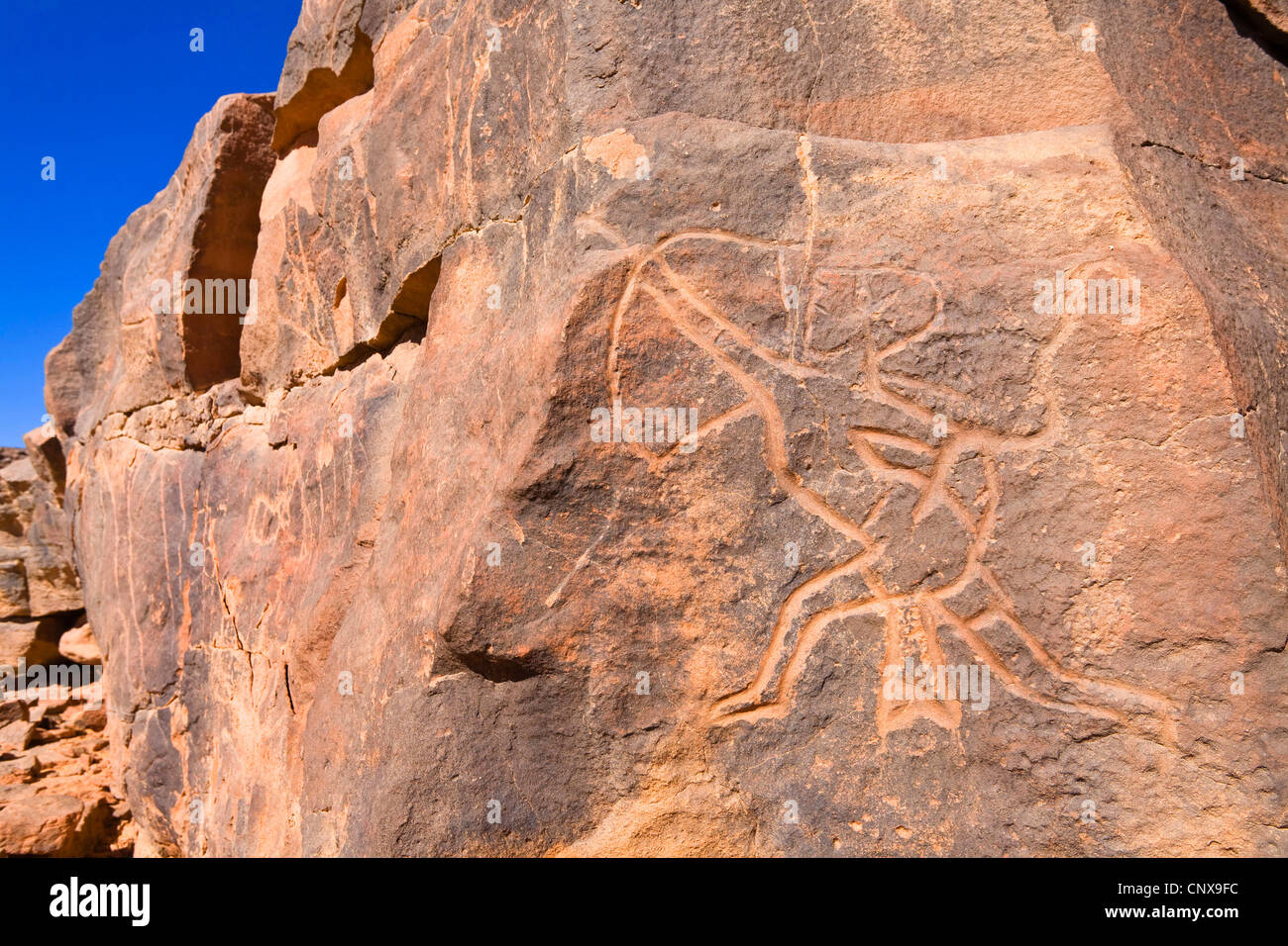 Rock Engraving. Animal High Resolution Stock Photography and Images - Alamy