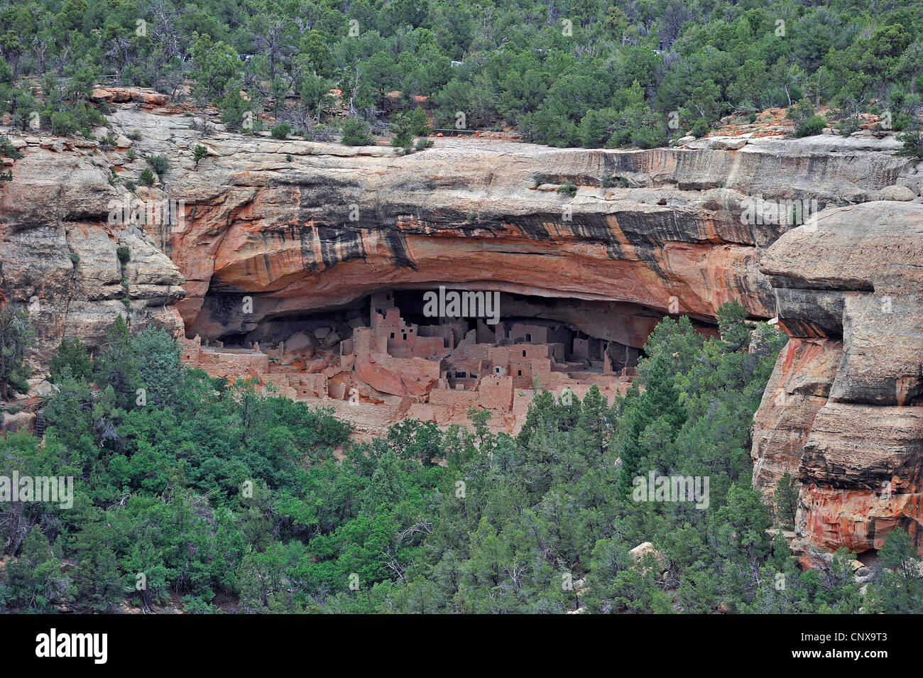 Cliff Palace Cliff Dwelling Native High Resolution Stock Photography ...