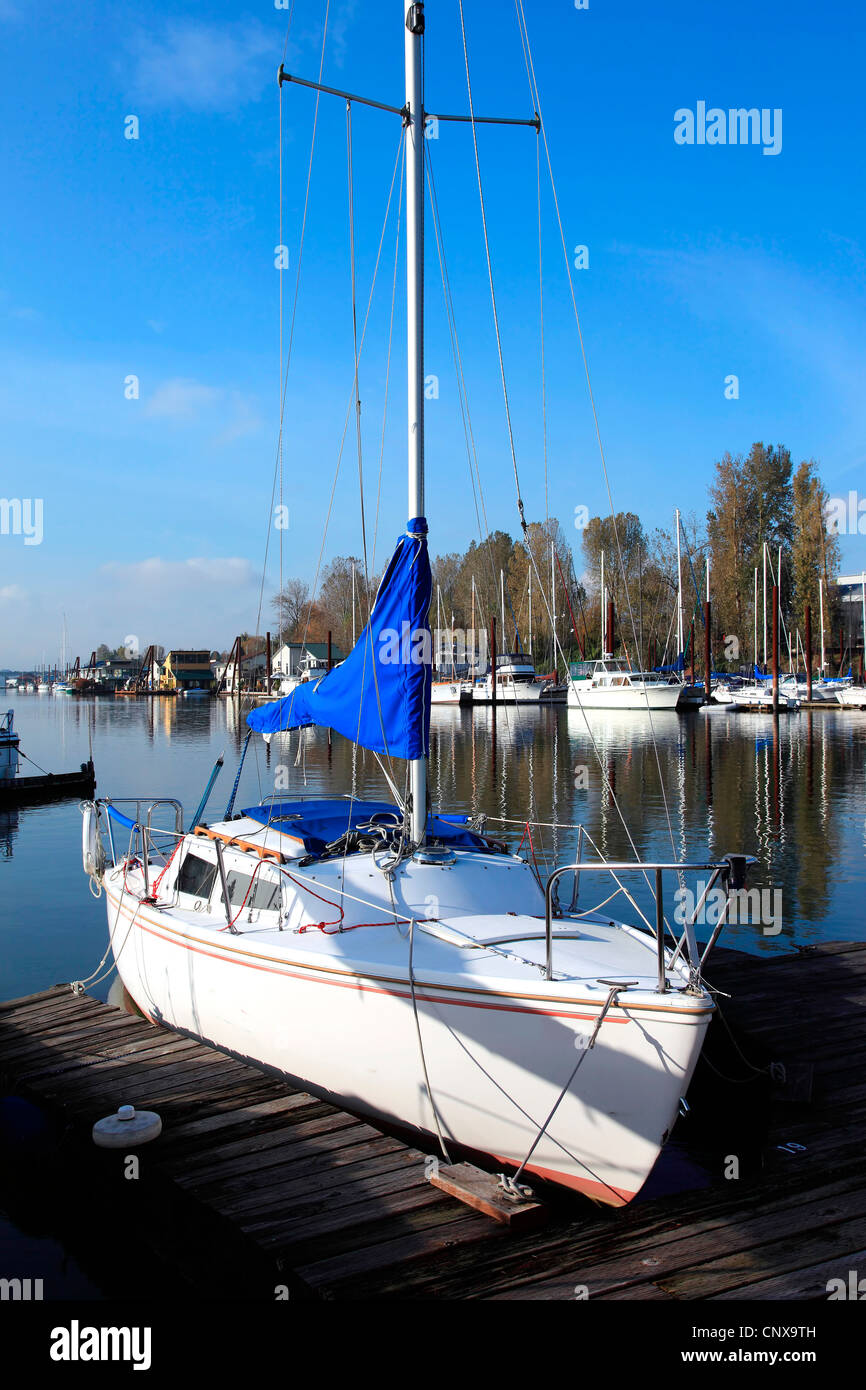 Moored sailboats in a marina Portland Oregon Stock Photo - Alamy