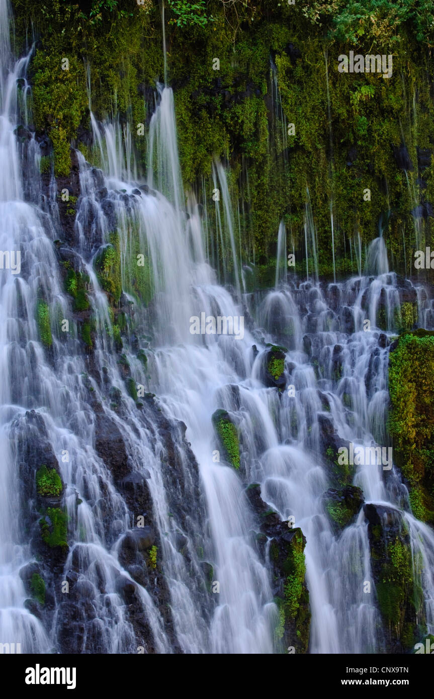 Burney Falls, USA, California, McArthur-Burney Falls Memorial State ...