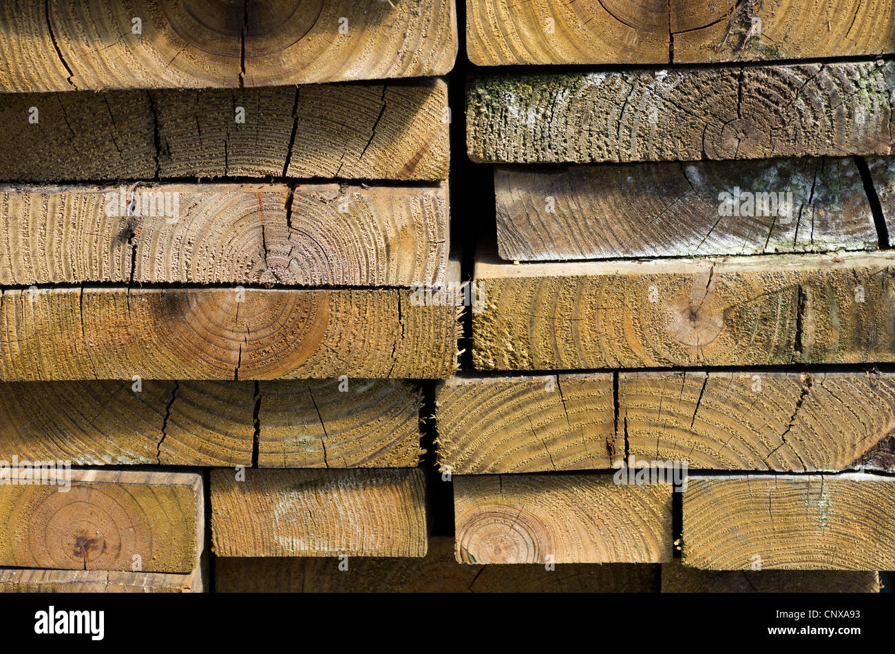 A stack of lumber cut into boards drying in the sun Stock Photo - Alamy
