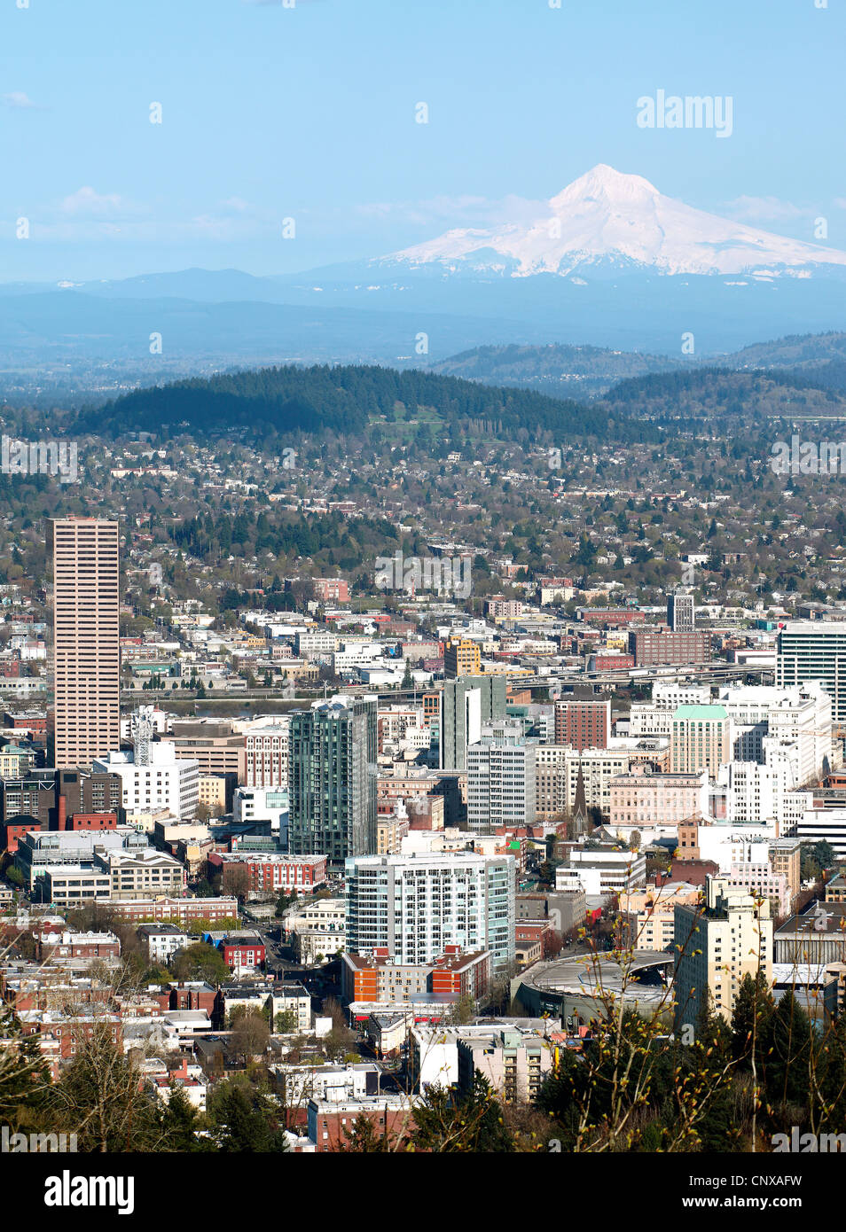 Portland OR. & Mt. Hood Stock Photo - Alamy
