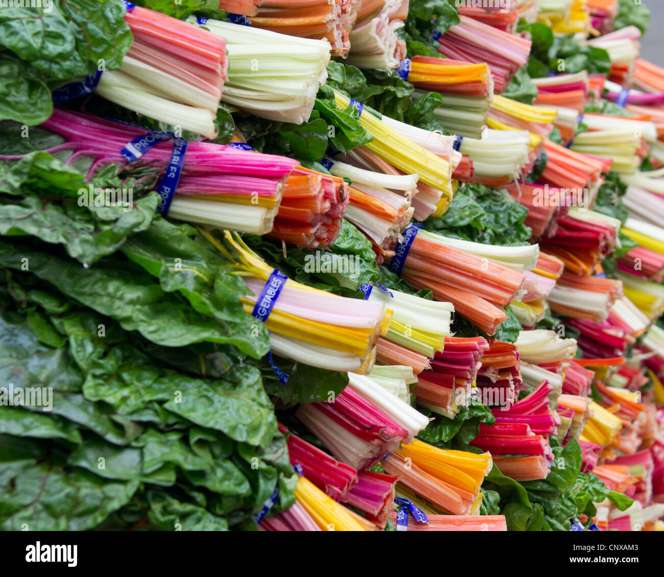 A display of colorful swiss chard at the farmers market Stock Photo - Alamy