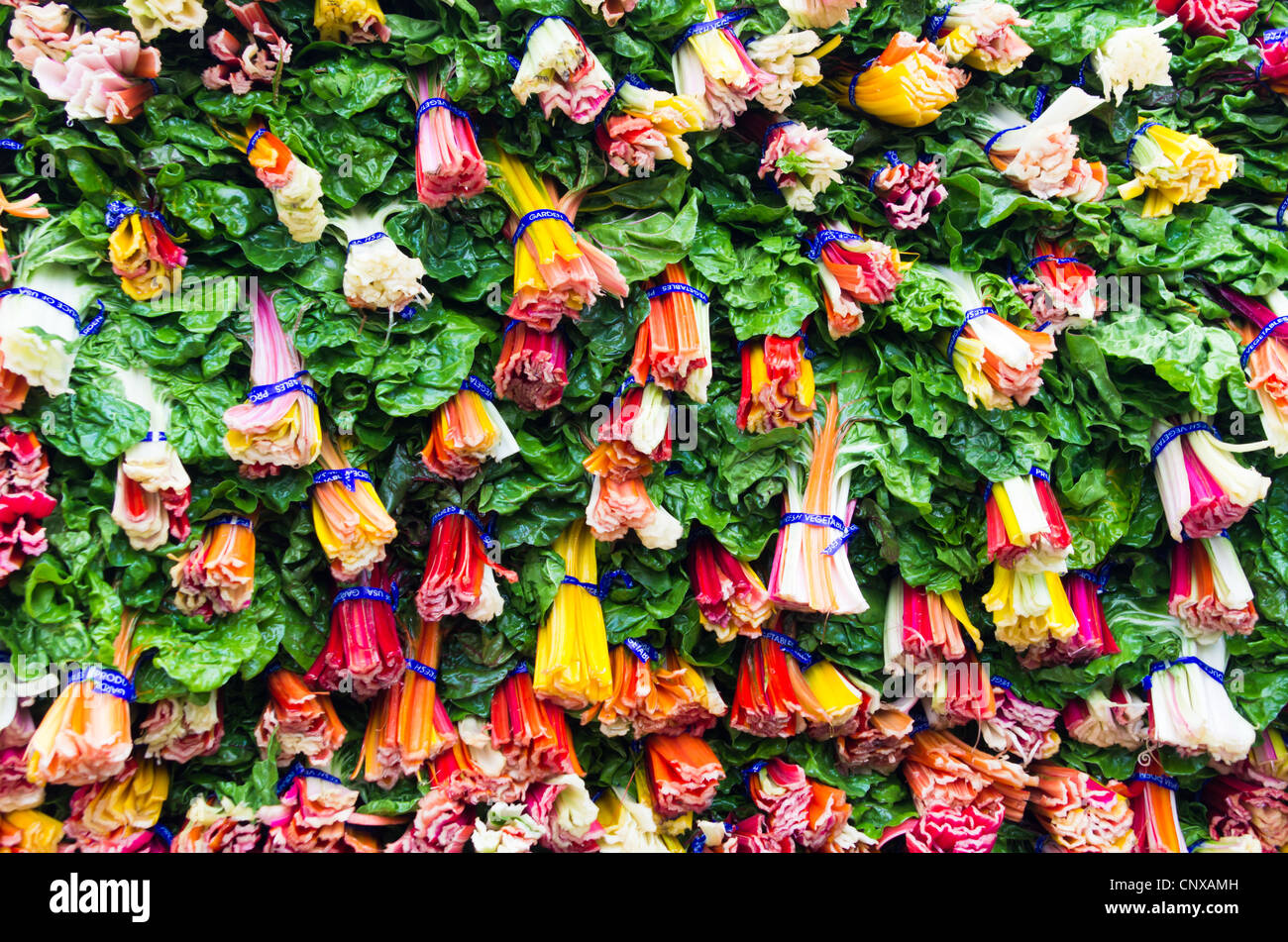 A display of colorful swiss chard Stock Photo - Alamy