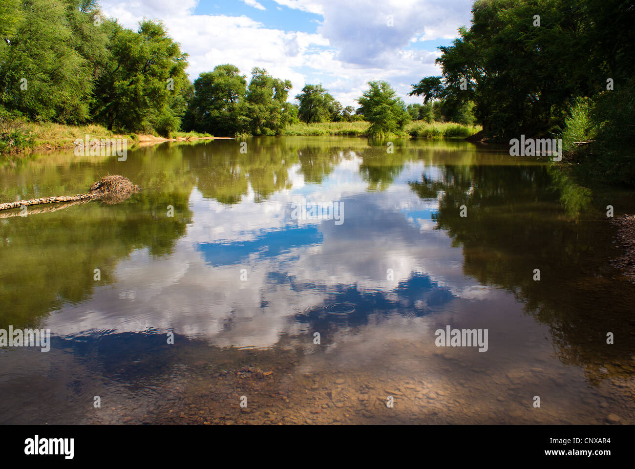 Landscape of a riverbed Stock Photo - Alamy