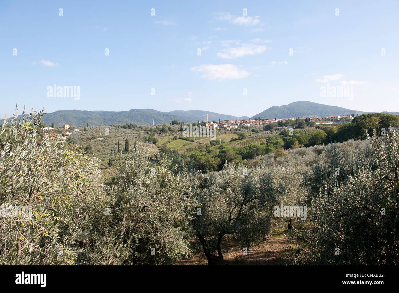 Strada in Chianti, in the Tuscan countryside Stock Photo - Alamy