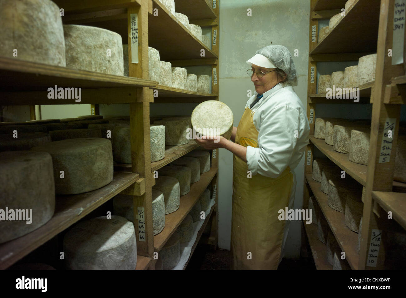 Traditional english cheeses hi-res stock photography and images - Alamy