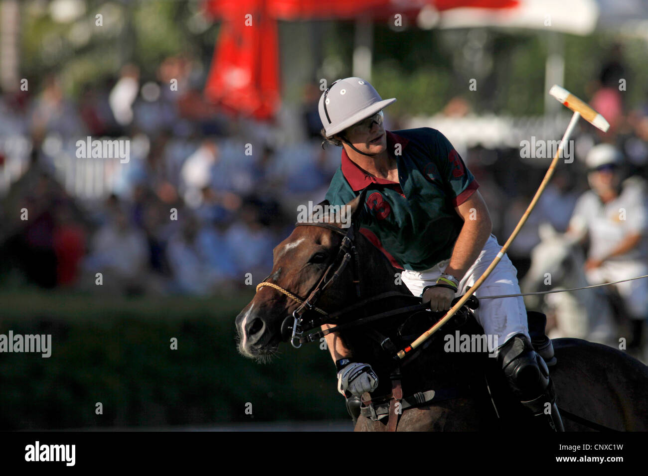 Polo player in action Stock Photo - Alamy