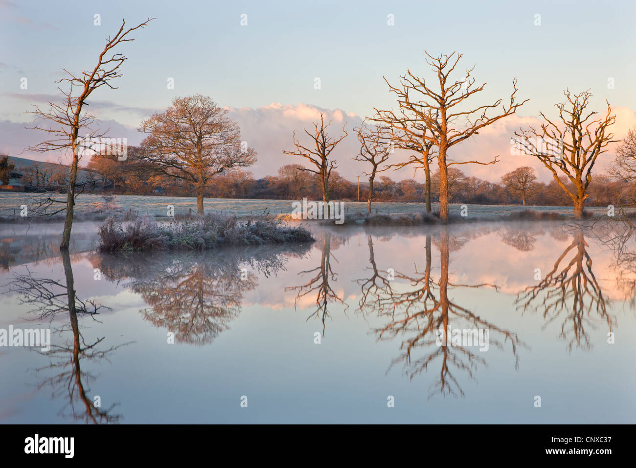 Dawn in countryside hi-res stock photography and images - Alamy