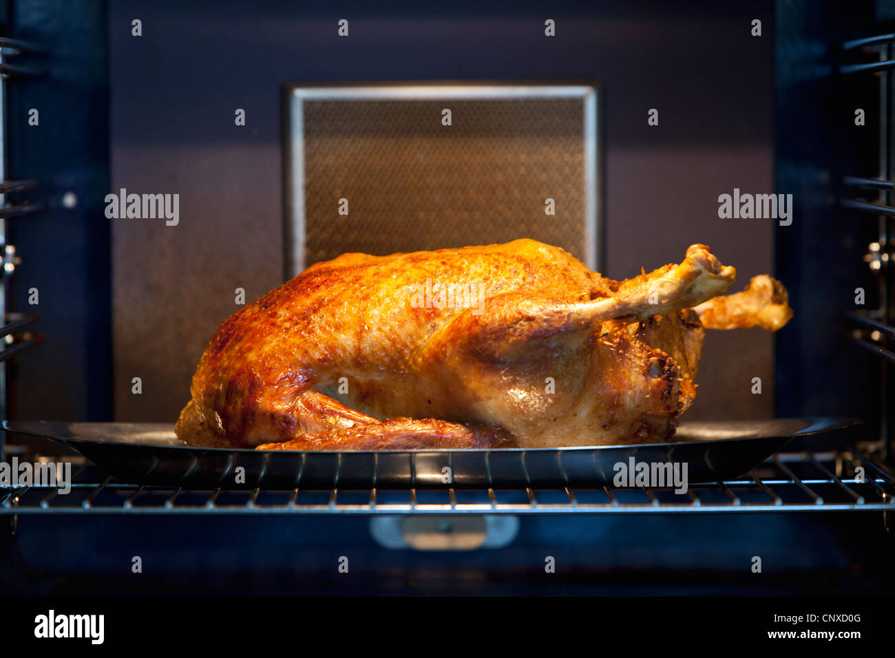 Roast dinner in oven hi-res stock photography and images - Alamy