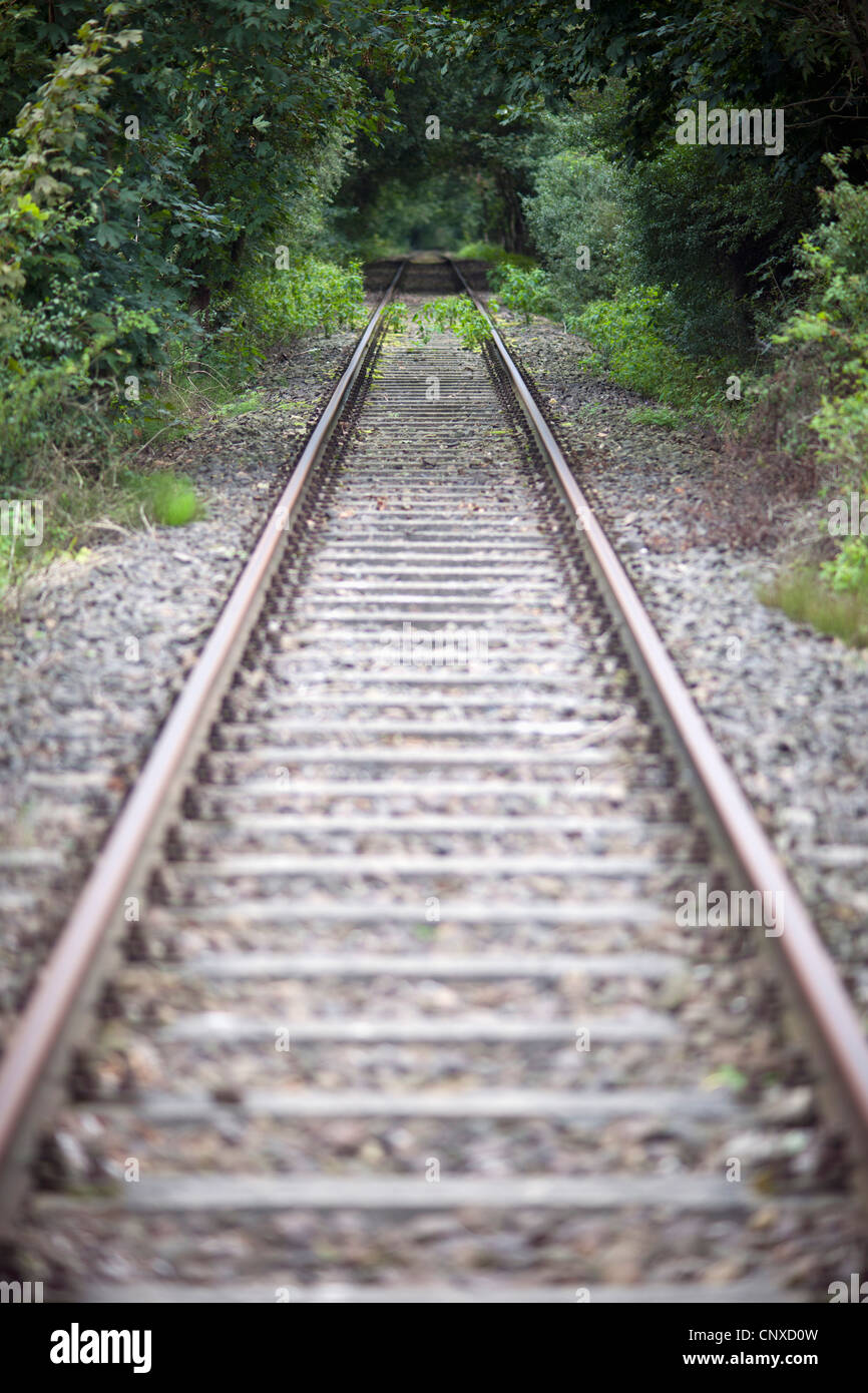 Railroad tracks in a wooded area Stock Photo - Alamy