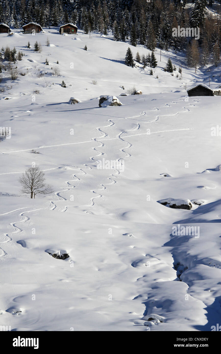 Curvy snow tracks Stock Photo - Alamy