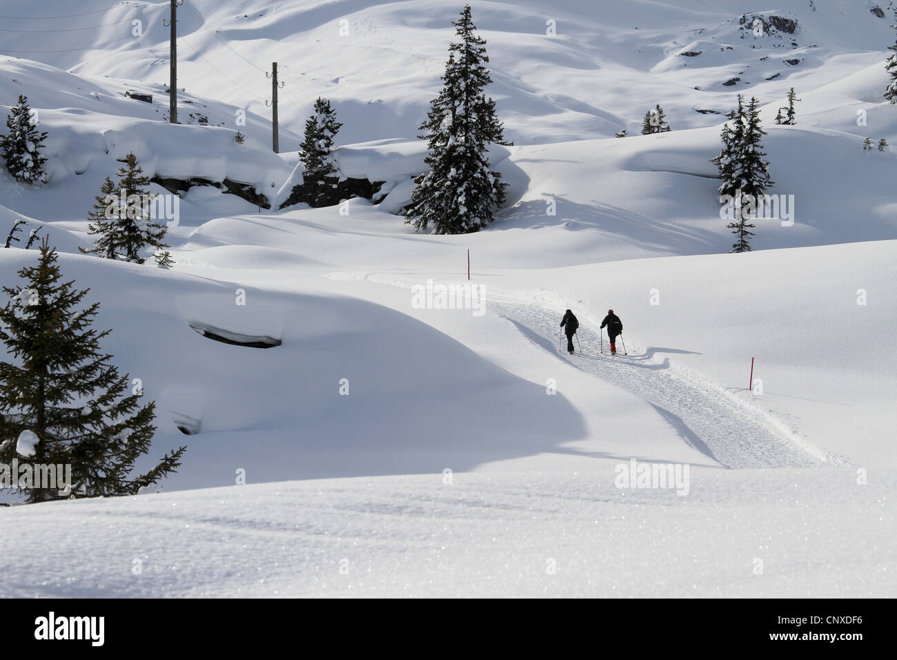 Hikers hiking on snow hi-res stock photography and images - Alamy