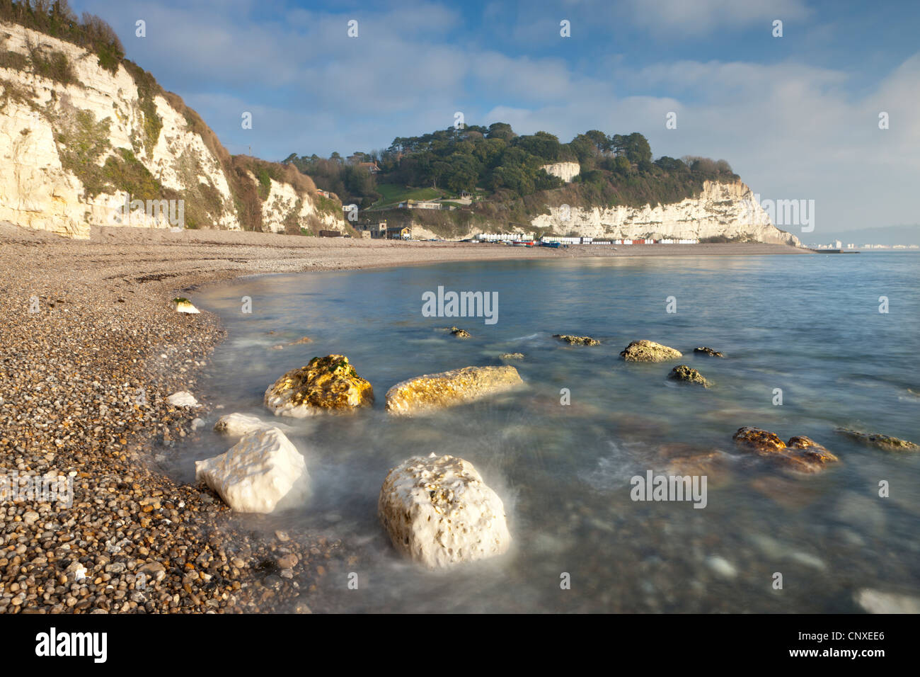 White cliffs at Beer, on the Jurassic Coast, South Devon, England ...