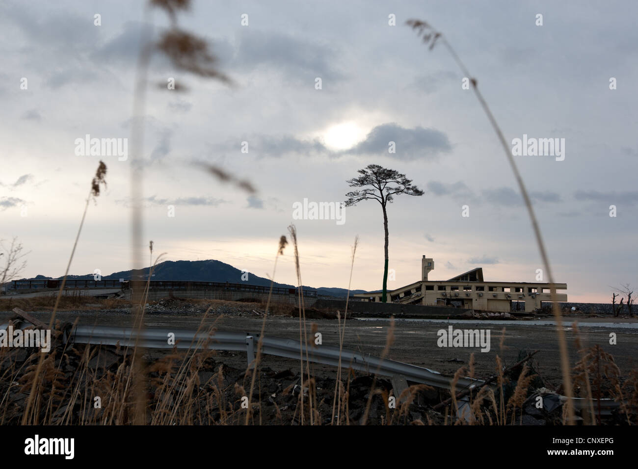 The aftermath of the March 11th 2011 tsunami in Rikuzentakata, Tohoku ...