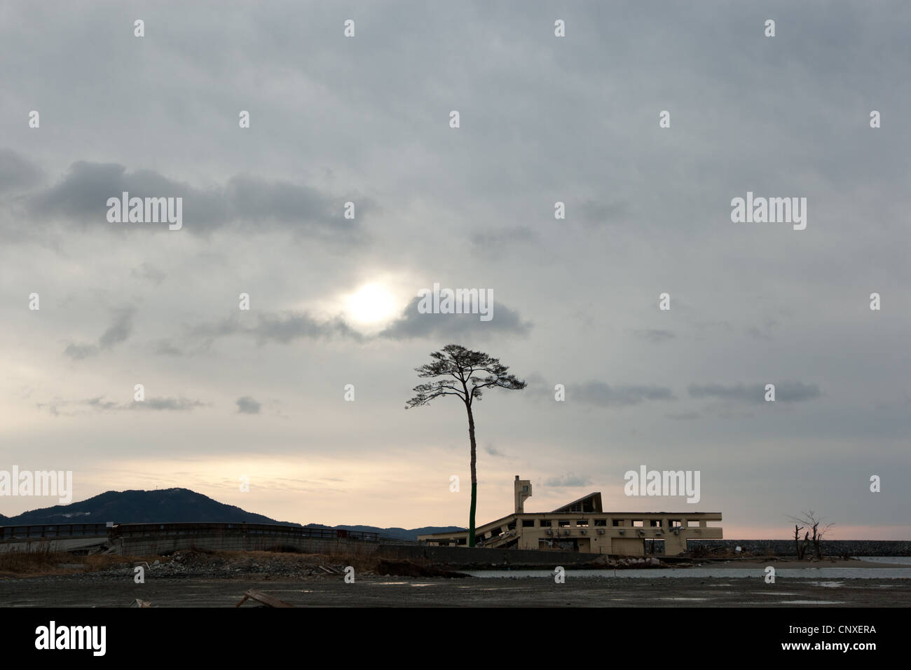 The aftermath of the March 11th 2011 tsunami in Rikuzentakata, Tohoku ...