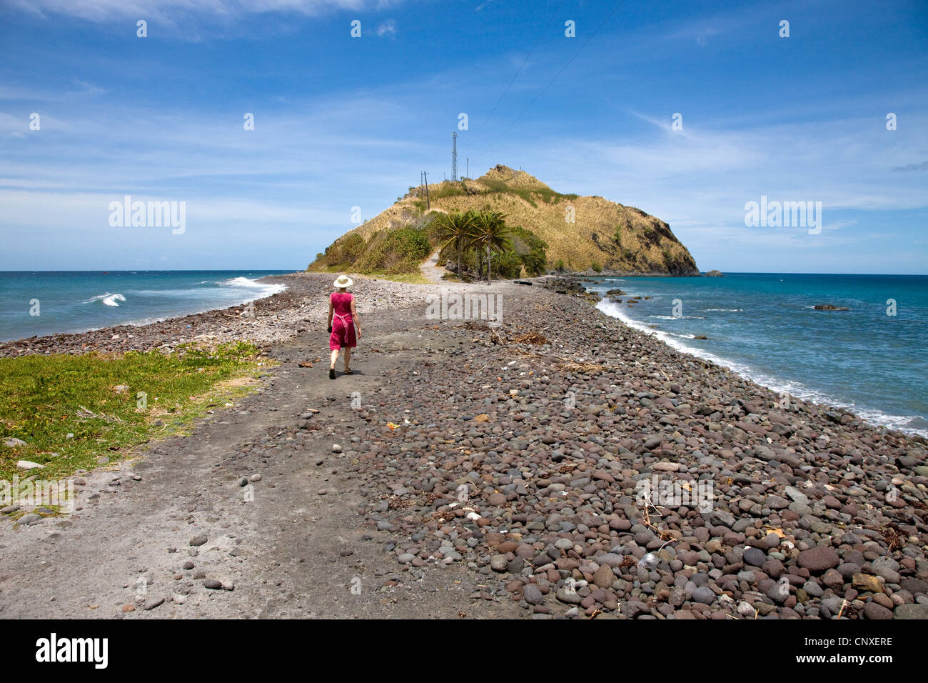 Narrow head hi-res stock photography and images - Alamy